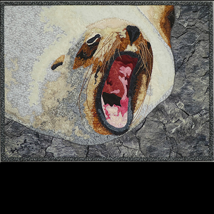 Mary Jane Sneyd, textile artist